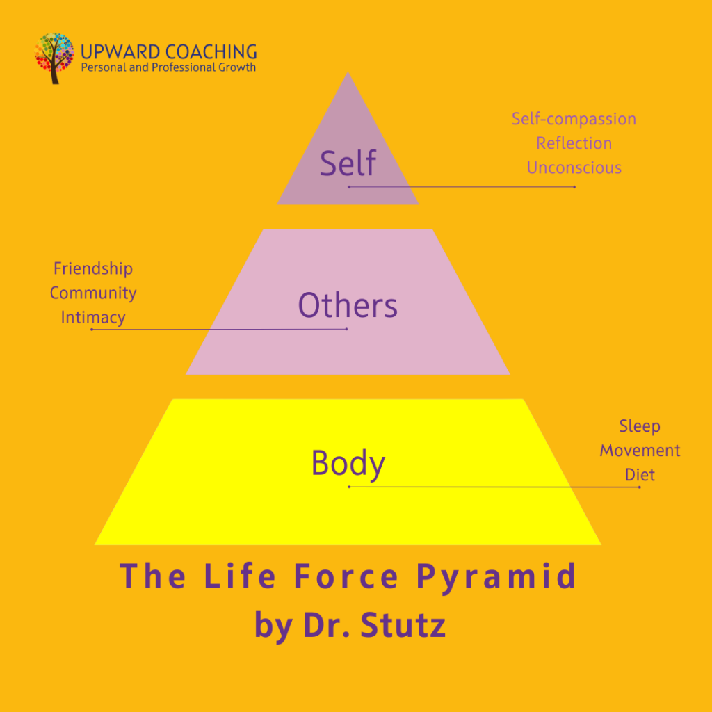 How to Use Dr. Stutz's Life Force Pyramid for Physical, Mental, and ... How to Use Dr. Stutz's Life Force Pyramid for Physical, Mental, and ...
