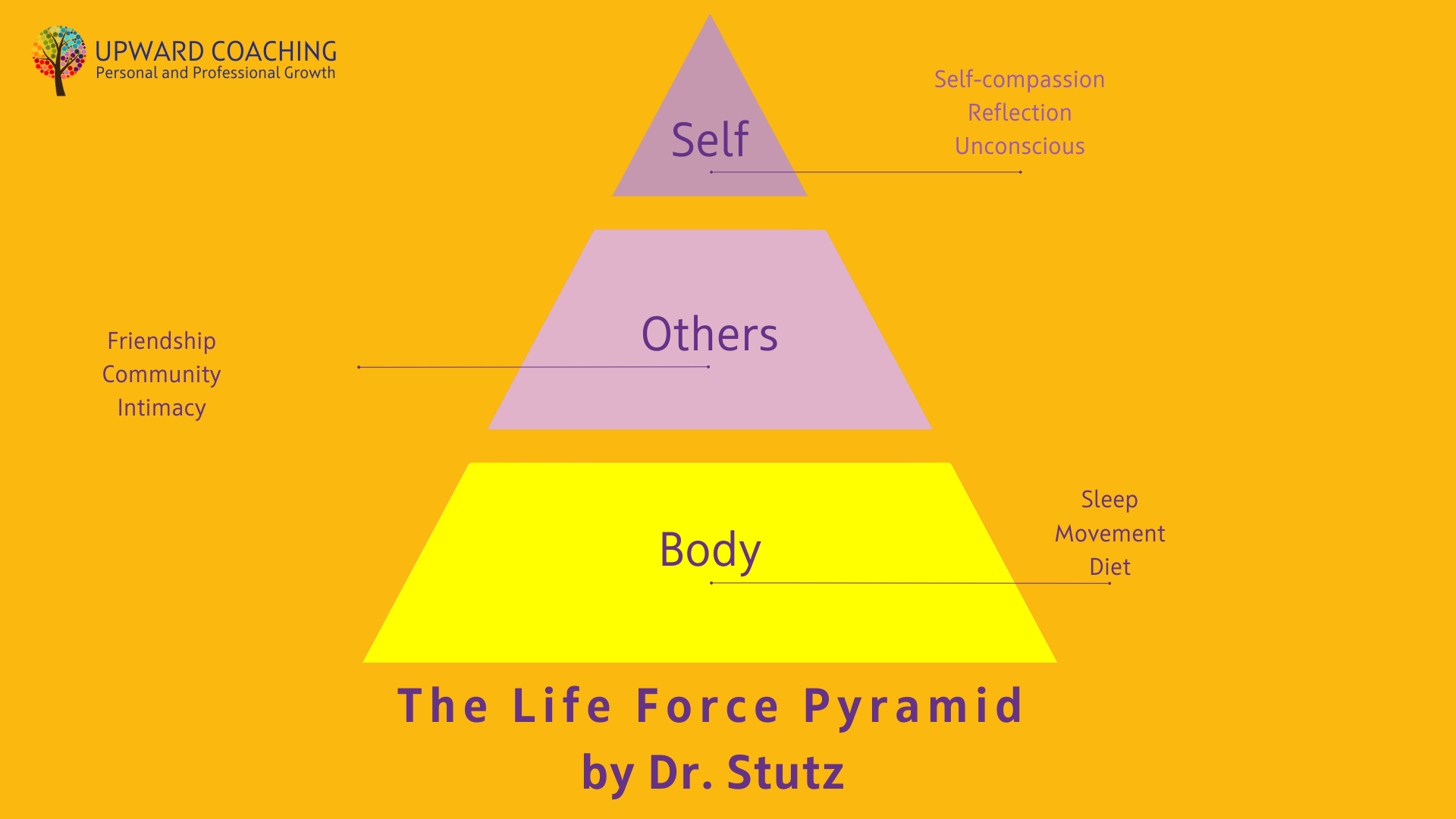 How to Use Dr. Stutz's Life Force Pyramid for Physical, Mental, and ...